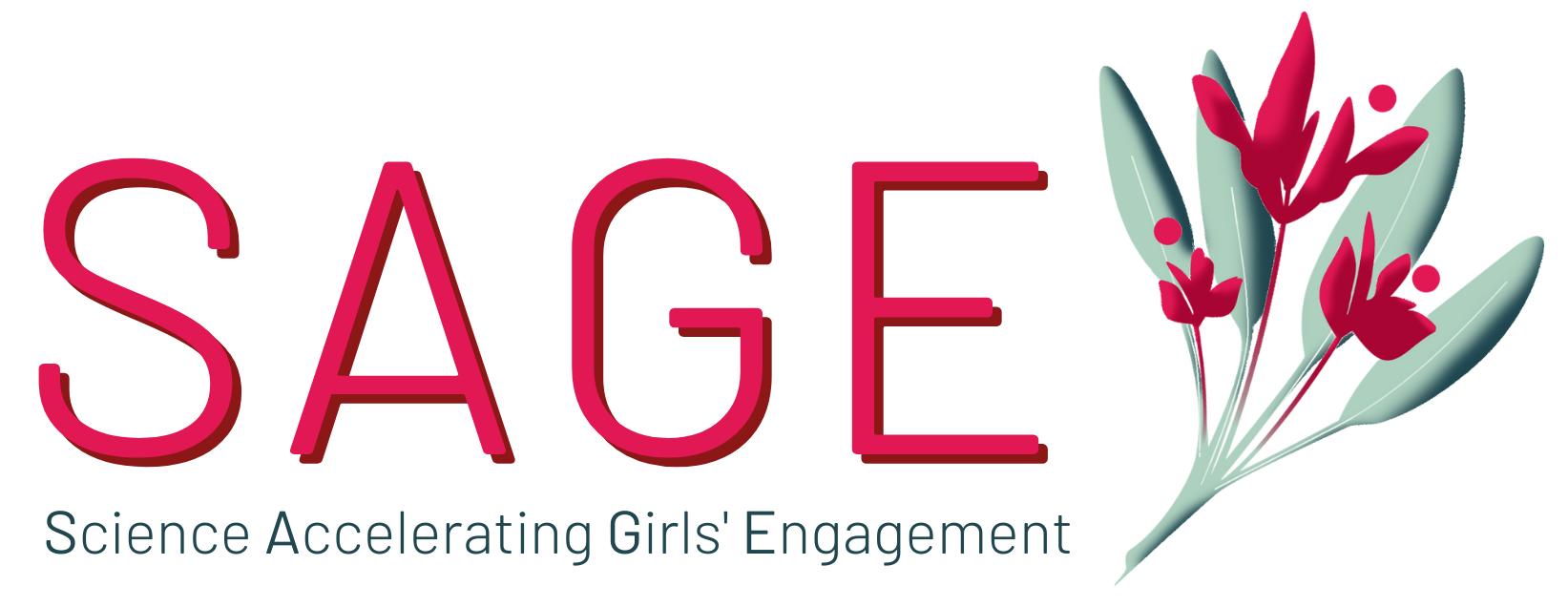 BNL | Workforce Development and Science Education | SAGE: Science Accelerating Girls' Engagement